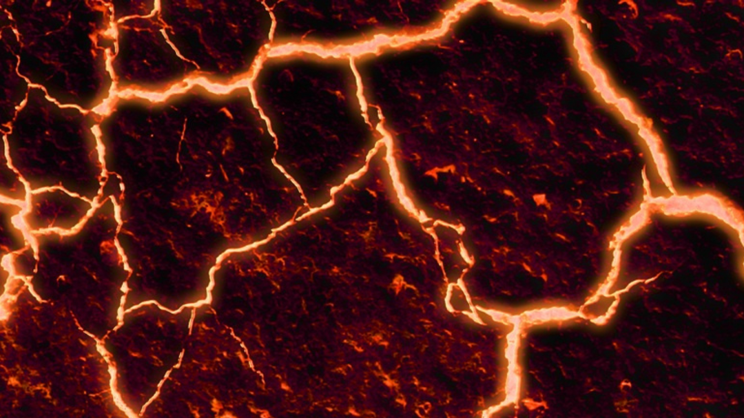 Facilitator Training | Cuatro Manos y Cinco Volcanes Farms