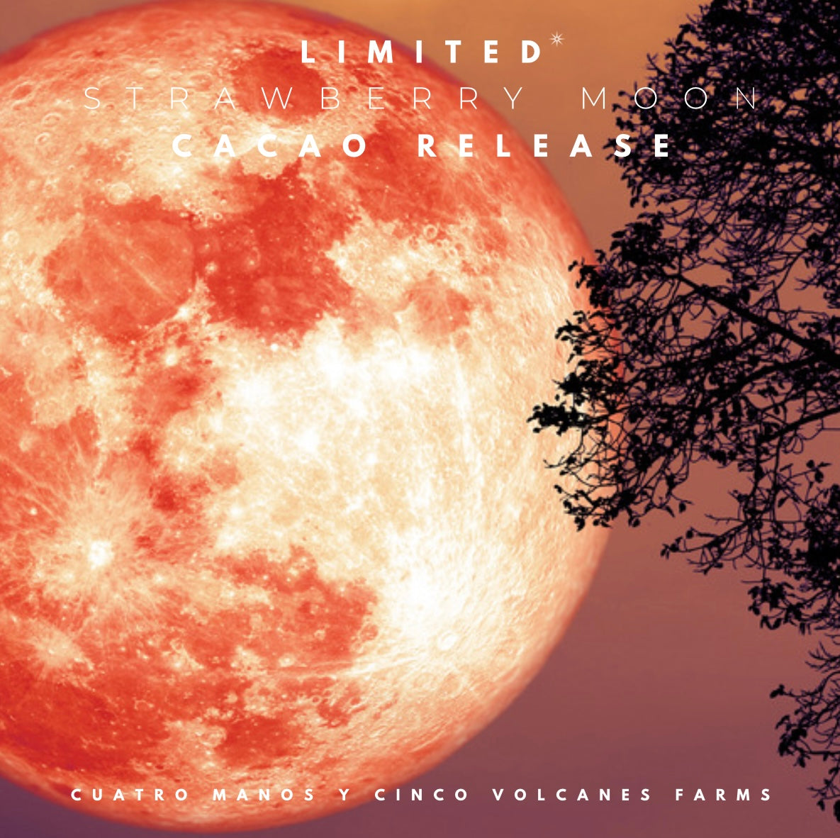 MOON (MAHINA) OFFERING | Cuatro Manos y Cinco Volcanes Farms
