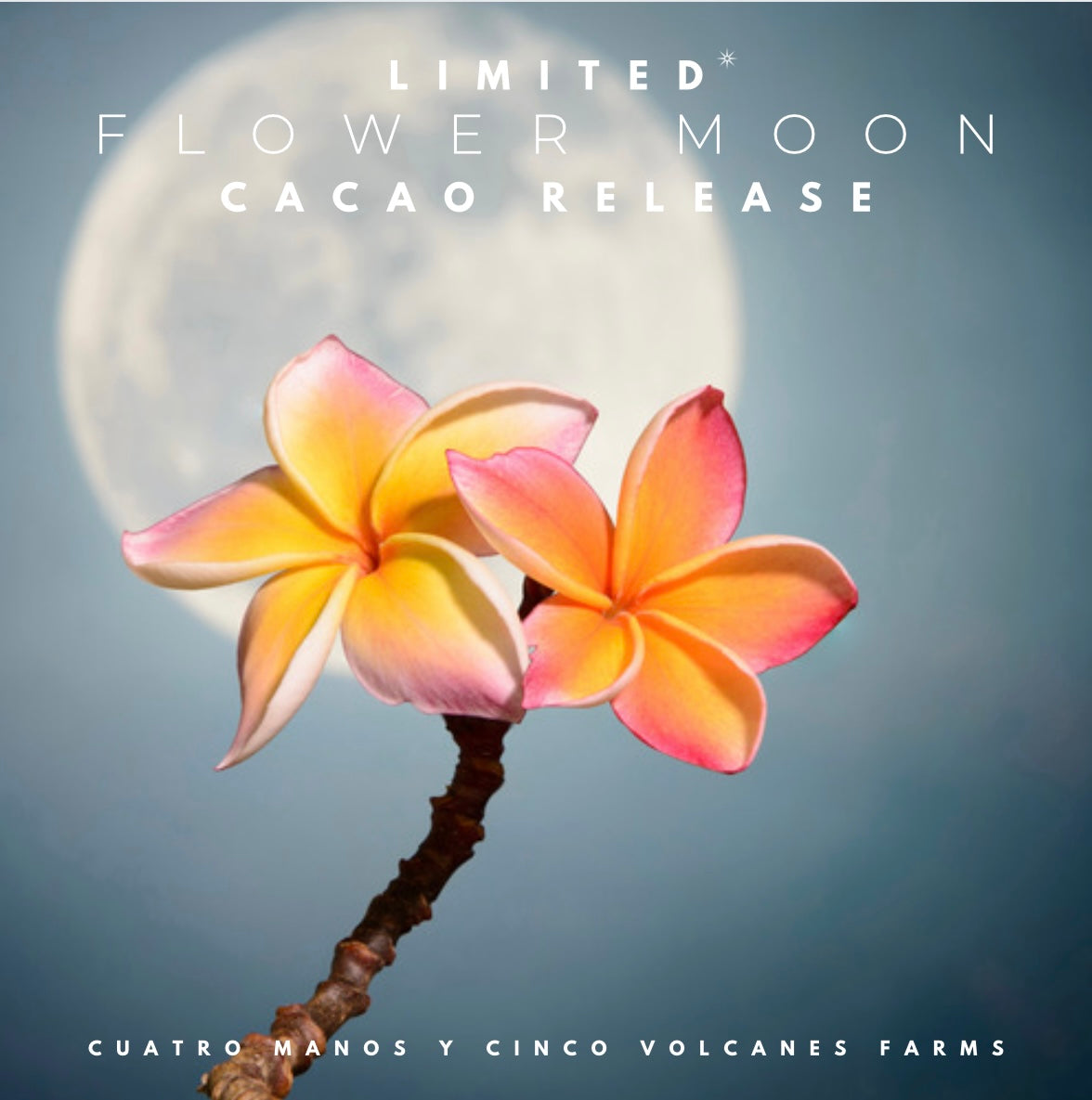 MOON (MAHINA) OFFERING | Cuatro Manos y Cinco Volcanes Farms